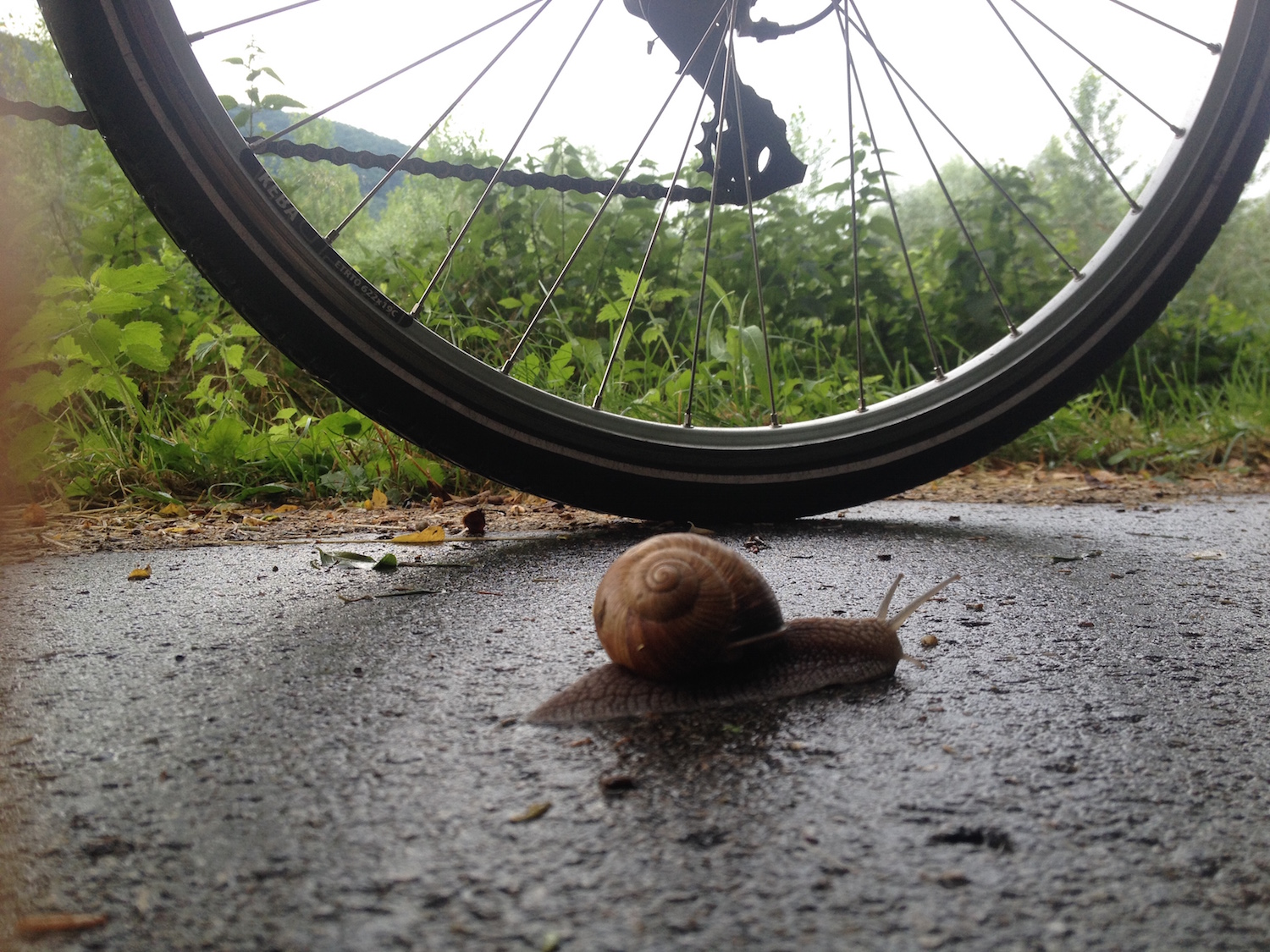 Top reasons to go on a solo self-guided bike tour - Tailwinds